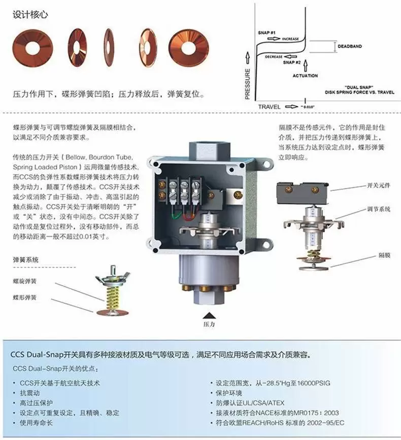 CCS 316L Process Interface Pressure Switch 165A101N1J1Y - Reliable ...